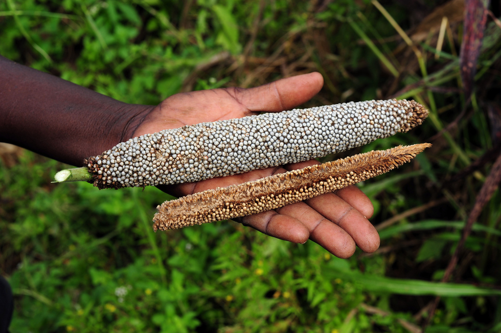 The Big Invisible Clock - Season For Change